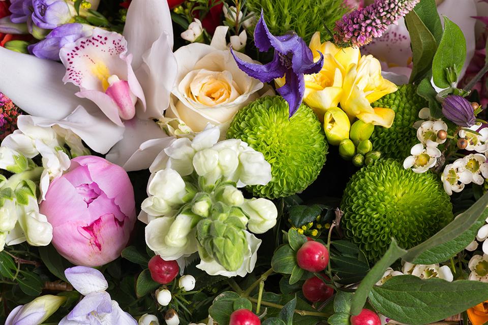 Daisy's Florist Dereham - Order Online or 01362 288002